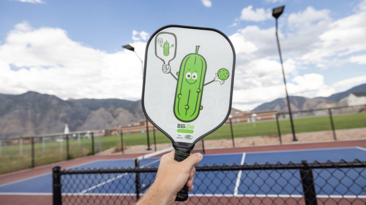 Do expensive pickleball paddles matter? – Trideer